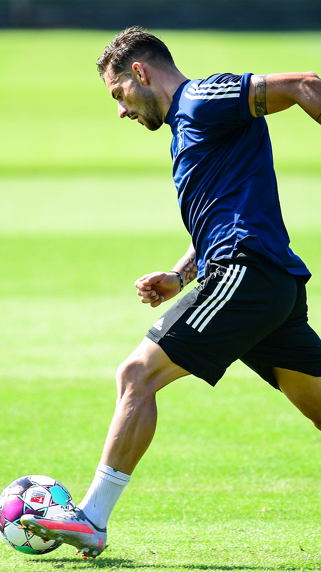 HSV-Wallpaper | HSV.de