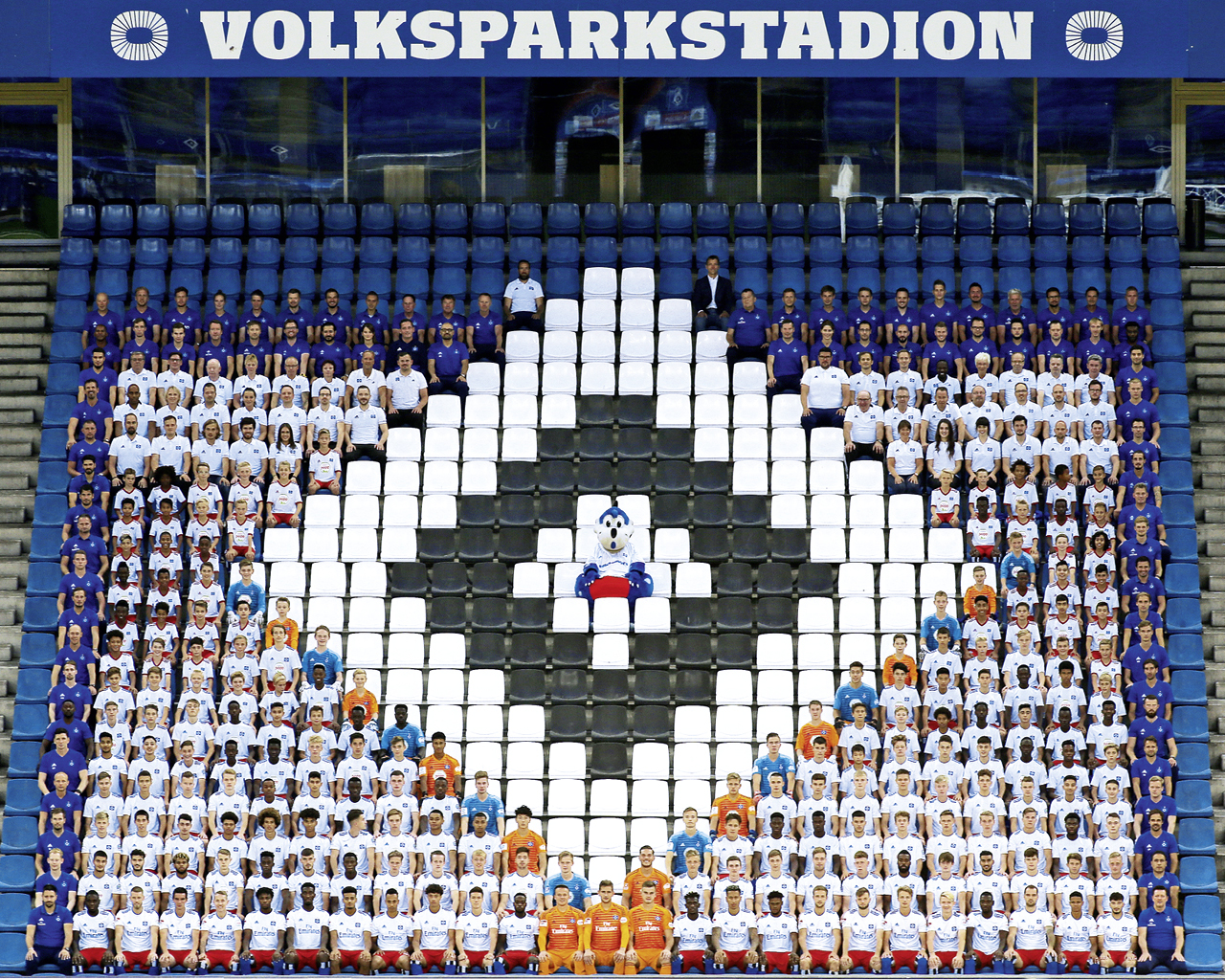 Das große HSV-Bild als Wallpaper | HSV.de