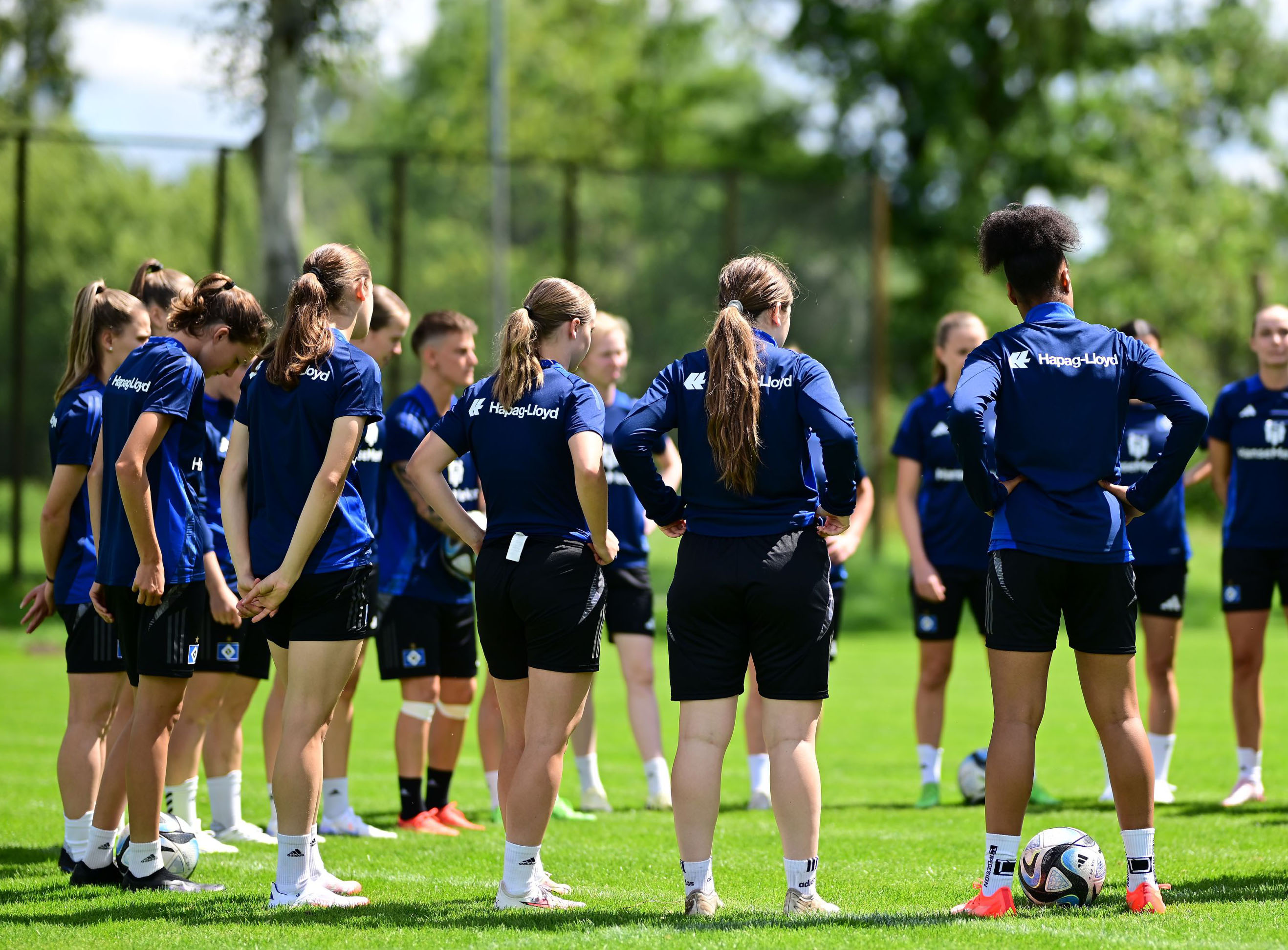 #NurderHSV: Alle Informationen über den HSV | HSV.de